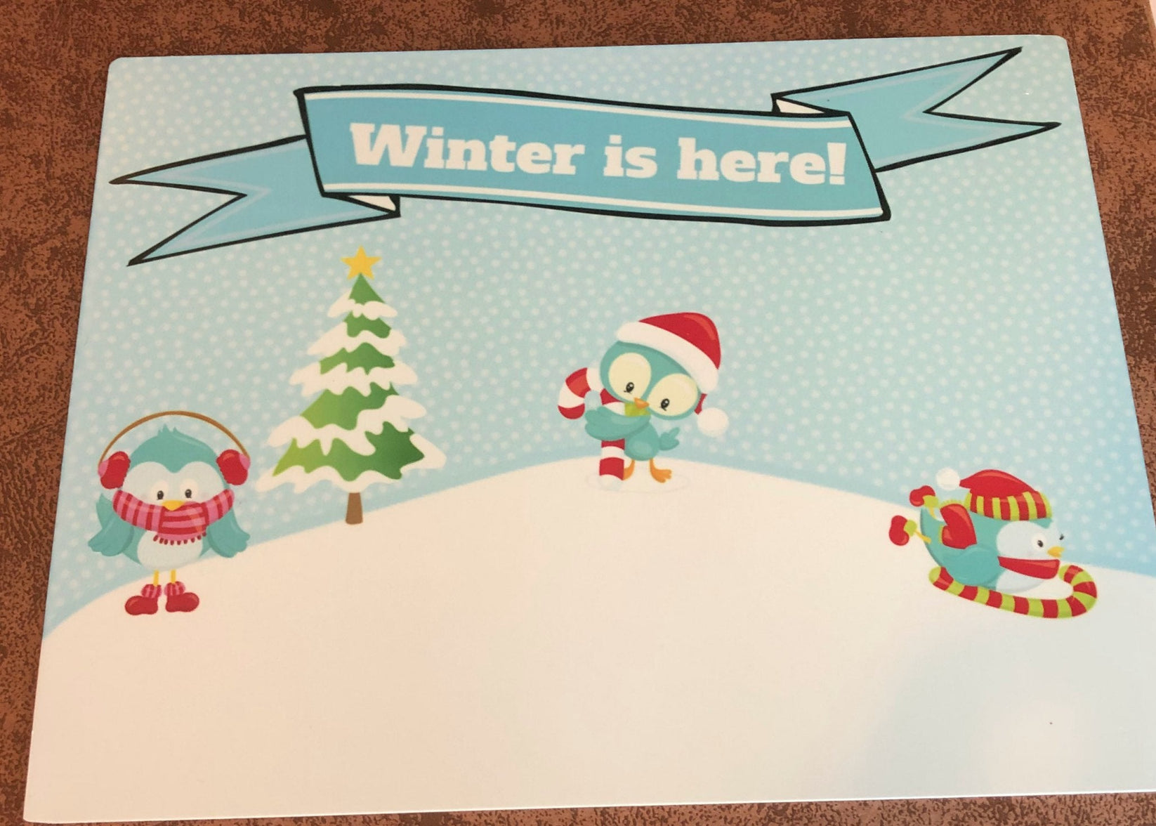 Winter is here sign, Christmas birds sign – RCL Signs and More