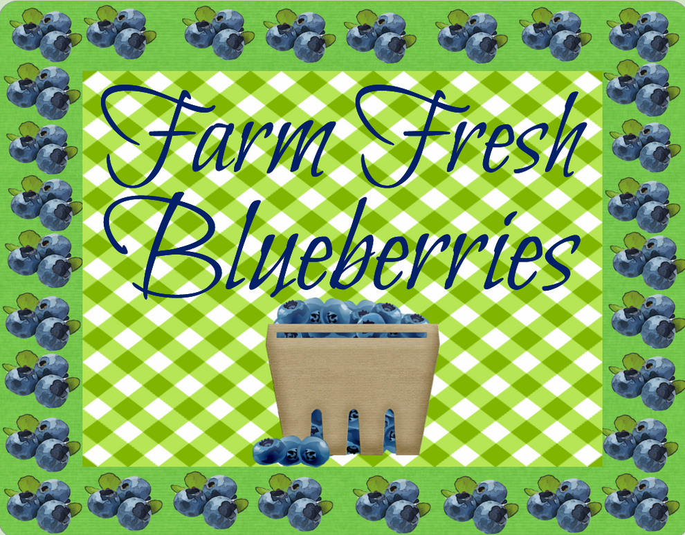 Blueberry sign- Farm fresh blueberries – RCL Signs and More